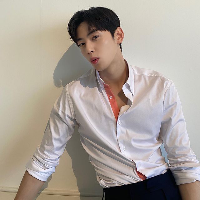 Cha Eun-woo Wiki, Bio, Net Worth, Height, Weight, Girlfriend, Dating ...
